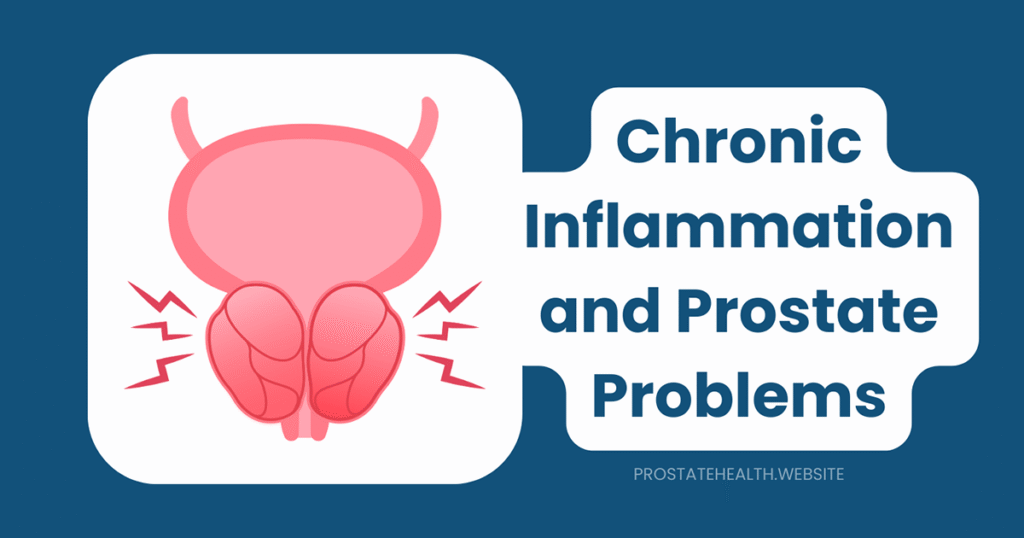 Chronic Inflammation: The Root of Many Prostate Problems